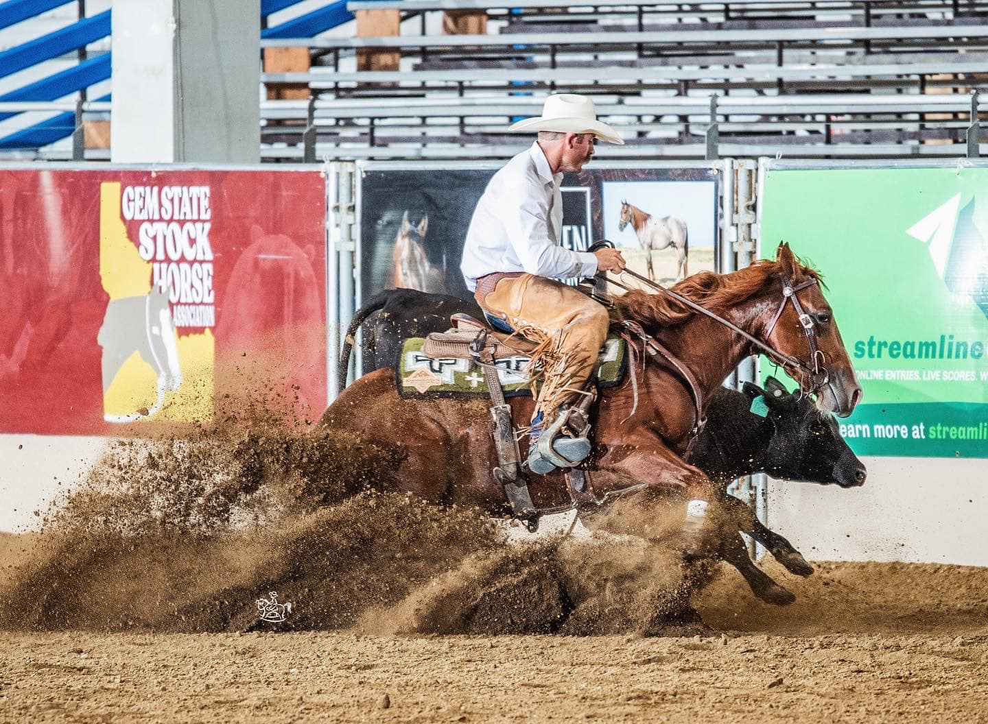 cow horse training - Frederick Performance Horses